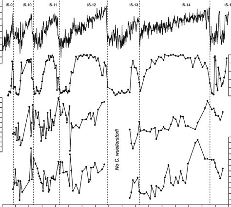 Comparison Of Benthic Foraminifera D 13 C And D 18 O Isotope Data To