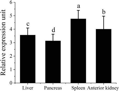An Overview Of Lys C Gene Expression In Tissues Of A Persicus Matured