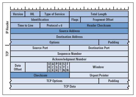tcp ip 协议报头速查 晒太阳的猫