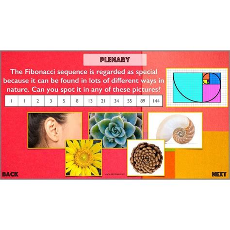 The Fibonacci Sequence Ks2 Maths Lesson Planning