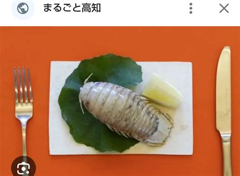 高知県よ…『みんな普通に食べてるよ？』みたいなノリで、グソクムシ茹でるな…