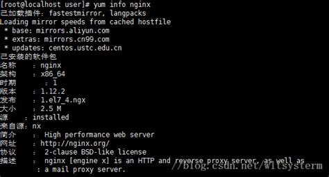 nginx安装包安装（yum install） nginx repo csdn博客
