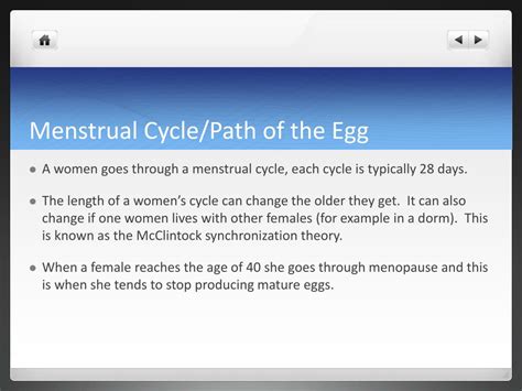 Ppt Human Reproduction Powerpoint Presentation Free Download Id 2355145