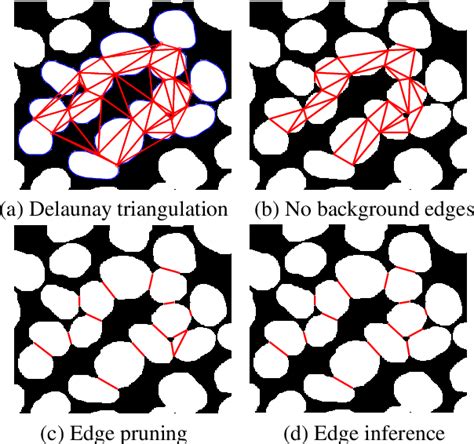 Figure 3 From A Delaunay Triangulation Approach For Segmenting Clumps