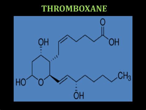 Ppt Group 3 Powerpoint Presentation Free Download Id4572565