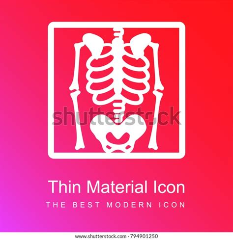 Skeleton View On X Ray Red 库存矢量图（免版税）794901250 Shutterstock