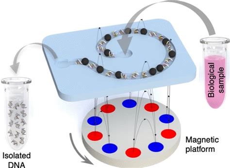 Publications Micro Nano Particles