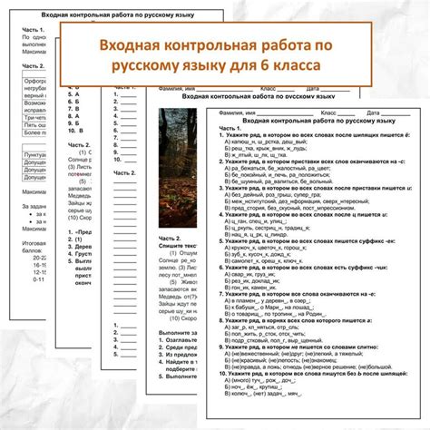 Входная контрольная работа по русскому языку для 6 класса