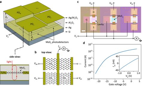 Physical Implementation Using A 2d Semiconductor A Schematic Of The
