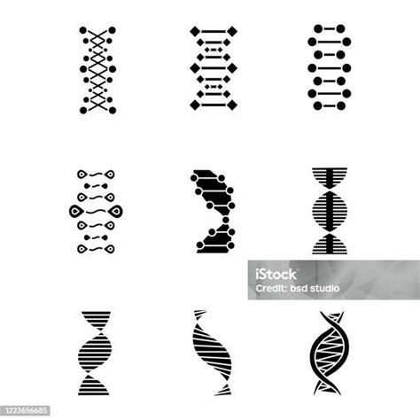 Dna 이중 나선 문양 아이콘 세트 데옥시리보핵 핵산 구조 염색체 분자 생물학 유전 코드 게놈 유전학 의학 실루엣 기호입니다 벡터 절연 그림 0명에 대한 스톡 벡터 아트 및
