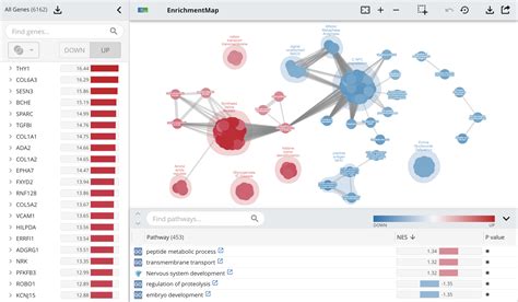 Enrichmentmaprna Seq