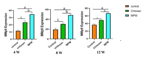 Quantitative Scoring Of Nf κb P65 Ihc Stained Bone Sections Of The Download Scientific