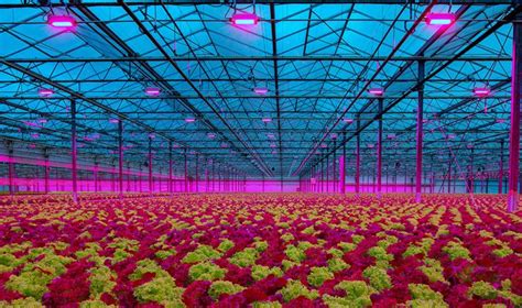 В Нідерландах газ дешевшає напередодні зими Читайте на Ukr Net