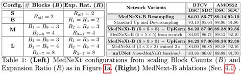 医学图像分割：mednext 知乎