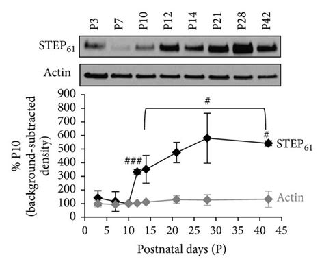 A Single ECS But Not Chronic ECS Transiently Increases Download Scientific Diagram