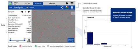 Quantification Of Isolated Nuclei