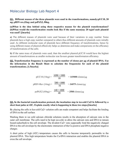 Molecular Biology Lab Report Studocu