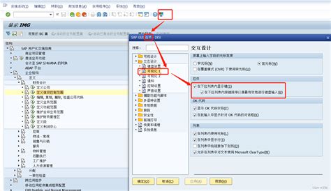 Sap使用小技巧sap设置显示技巧 Csdn博客