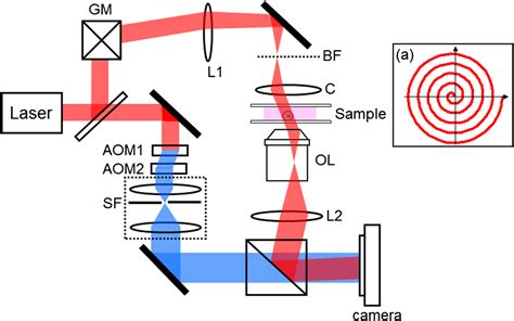 Three Dimensional Differential Interference Contrast Microscopy Using