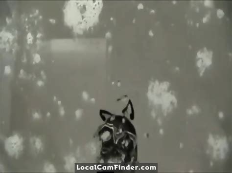 Spitting Porn Spit Fetish