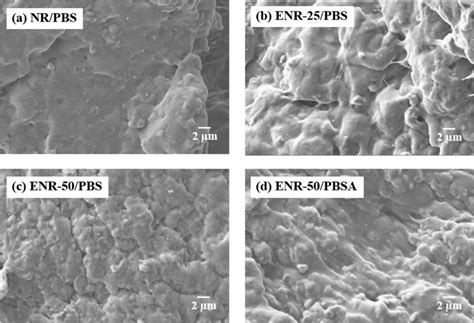 Sem Micrographs Of Tensile Fracture Surfaces Of Dynamically Cured