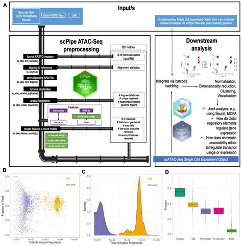 scPipe: an extended preprocessing pipeline for comprehensive single-cell ATAC-Seq data ...