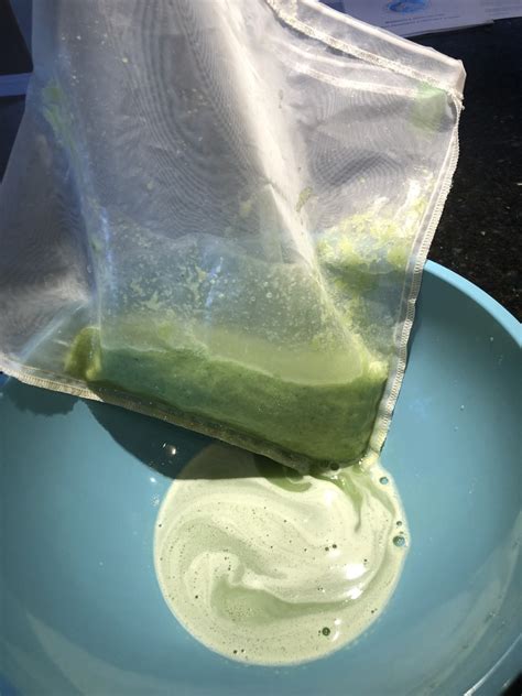 Celery Juice Recipe Delishably