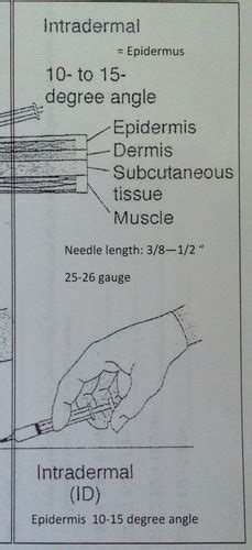 Sig Codes 4 Flashcards Quizlet