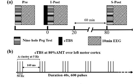 Figure 1 From Tracking The Immediate And Short Term Effects Of Continuous Theta Burst