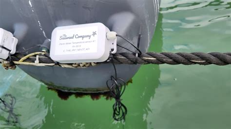 Monitoring Of The Sea Water Temperature With Efento Nb Iot Sensors Efento