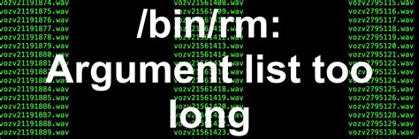 Solución Argument list too long lavariega