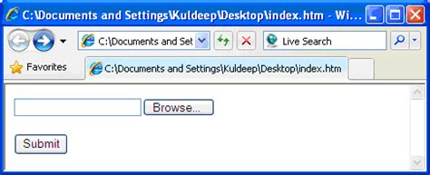 File Upload Box And Hidden Form Fields Element