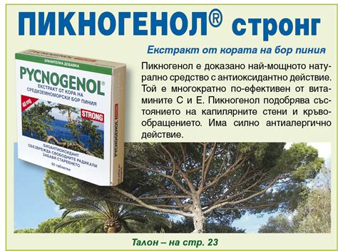 Lechitel.BG ::: в-к Лечител » ПИКНОГЕНОЛ® ме избави от разширените вени