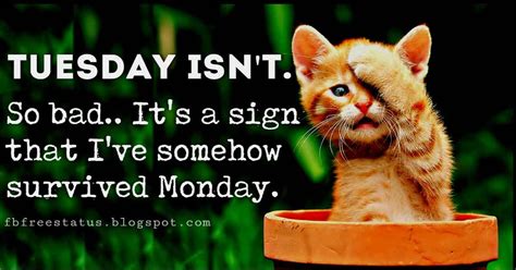 Funny And Happy Tuesday Morning Quotes And Hilarious Memes Tuesday