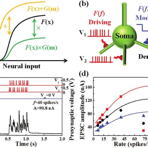 neuronal arithmetic in the scheme of rate coding a the schematic