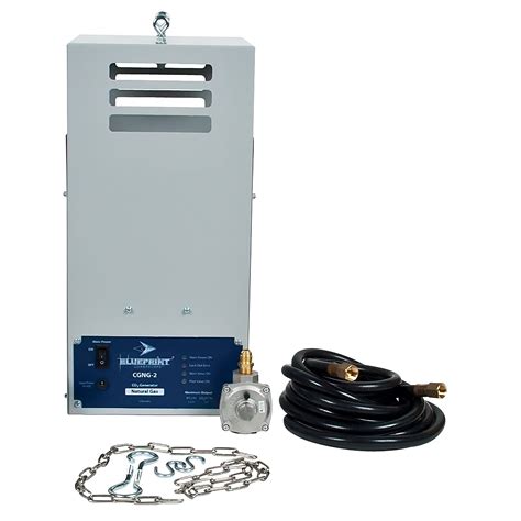 Blueprint Co2 Generator Ng Cgng 2 Controllers — Green Thumb Depot
