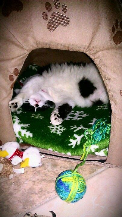 Lazy Pixie Pixie Eye Mask Sleep Eye Mask