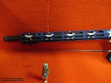 Ruger Precision 22 Lr