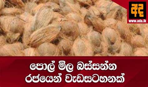 පොල් මිල බස්සන්න රජයෙන් වැඩසටහනක් Ada Online