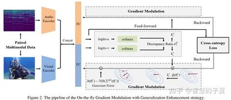 Imbalanced multimodal learning 知乎