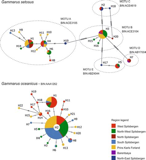 Minimum Spanning Network Msn Indicating Phylogenetic Relationships Download Scientific