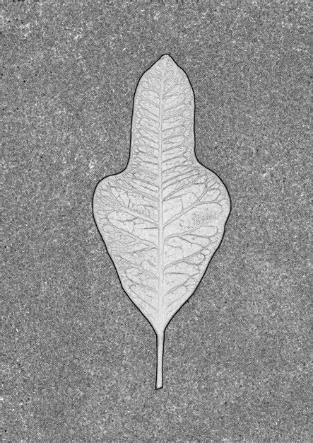 Leaves Close View Background Leaf Shape Premium Photo