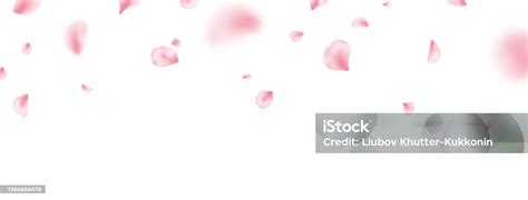 사쿠라 봄 꽃 테두리 꽃 꽃잎 비행 배경 핑크 로즈 구성 뷰티 스파 제품 프레임 발렌타인 로맨틱 카드 가벼운 섬세한 파스텔 디자인 벡터 일러스트레이션 꽃 식물에 대한 스톡