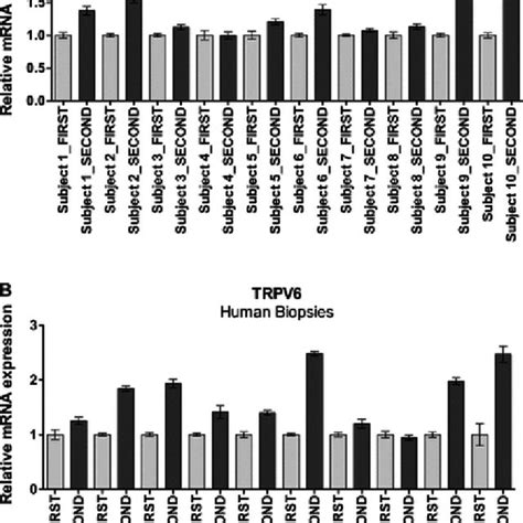 Vitamin D3 Increases Slc30a10 Gene Expression Time Dependently Gene Download Scientific