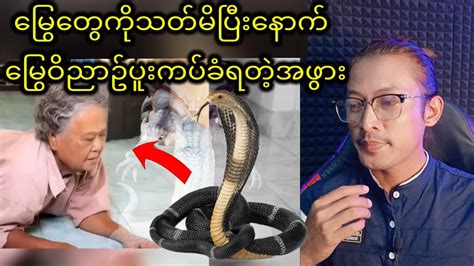 မြွေတွေကိုသတ်မိပြီးနောက် မြွေဝိညာဥ်ပူးကပ်ခံရတဲ့အဖွား Youtube