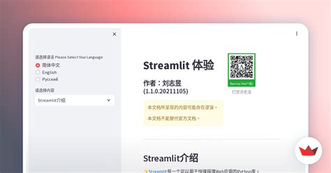 streamlit experience