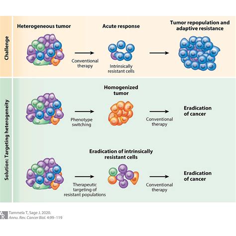 Spatial Transcriptomics—the Next Evolution Of Cancer Drug Discovery