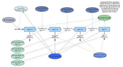 Female Black Rhino Age Based Model Density Dependence Insight Maker