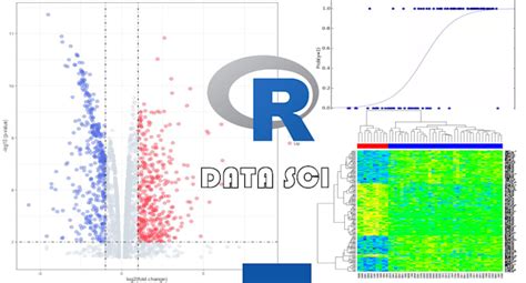 Do Data Analysis And Econometric Model For You Using R By Jiangwuchen
