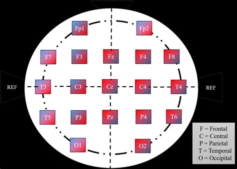 Electrode Setup To Record Multi Channel EEG Data For Mental Arithmetic Download Scientific